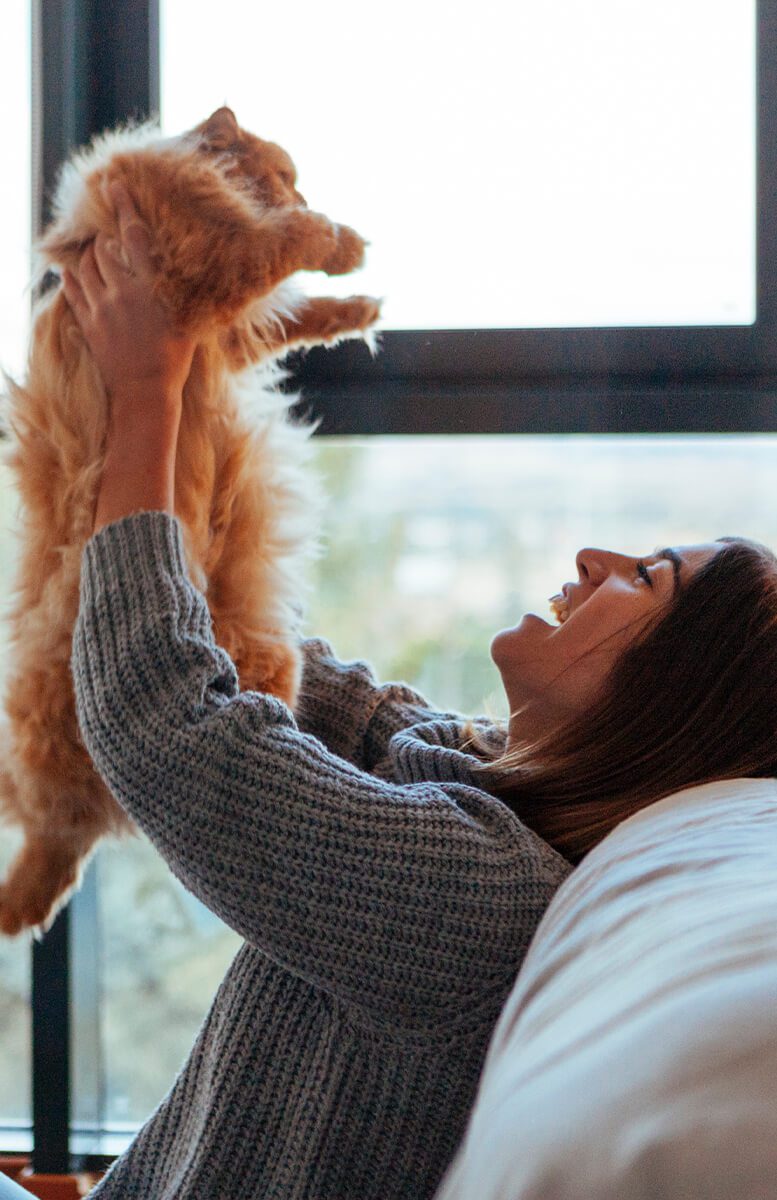 Educational Pet Links | Four Paws Veterinary Clinic